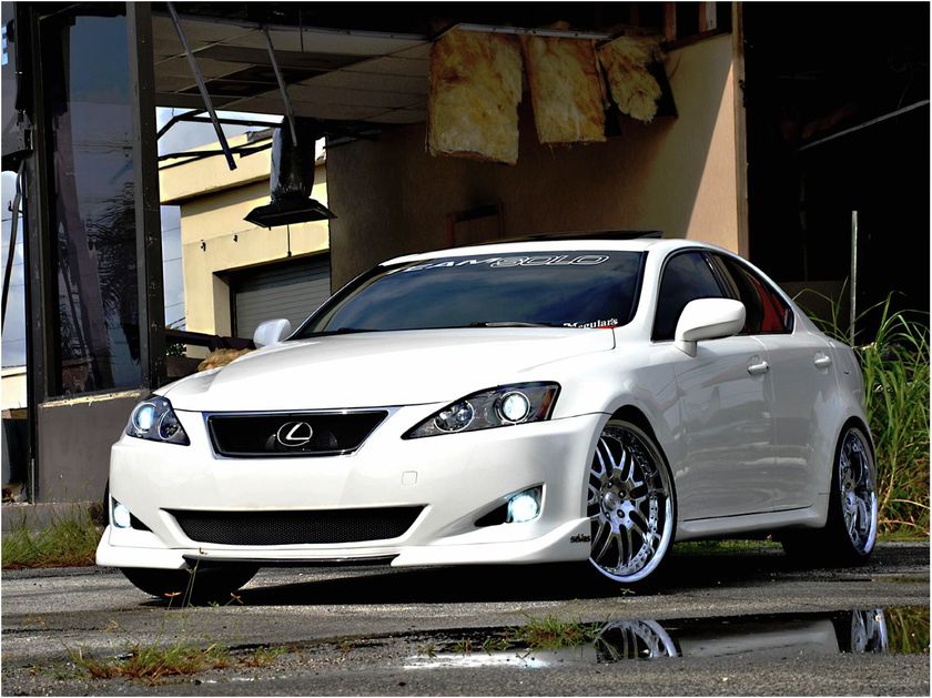 Beautiful White Lexus