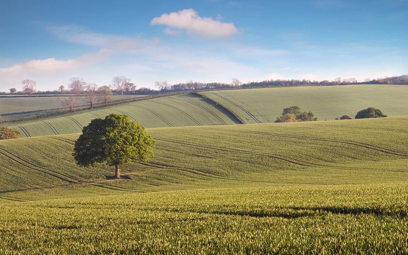 Hilly Farmland